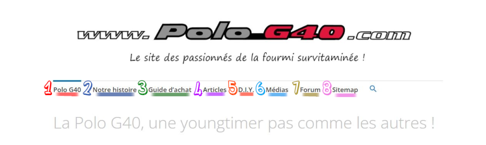 PoloG40 Overview — Volkswagen Polo G40